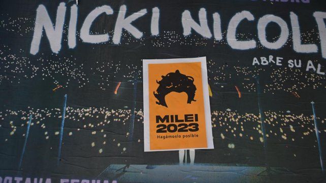 Remeras, banderas y disfraces, los simpatizantes de Milei le ponen ...